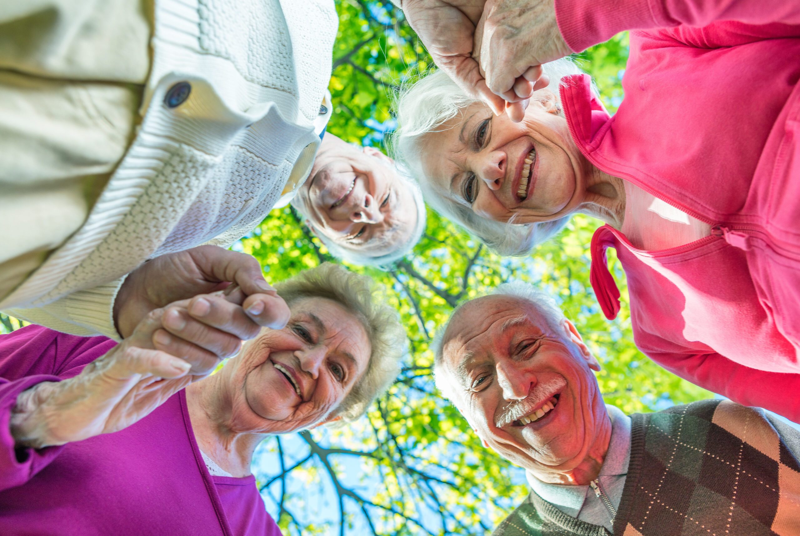 Home - Wisconsin Institute for Healthy Aging (WIHA)